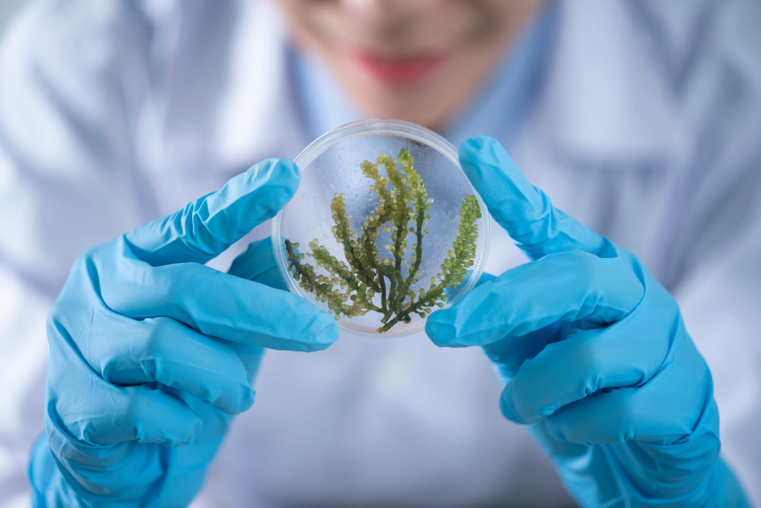 Engineering Biology - NML